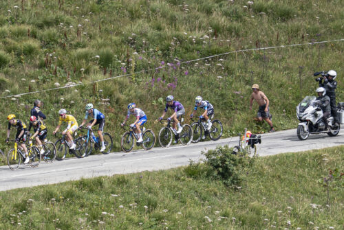 Bokep kontener i enjoy dogs however anticipating the dog